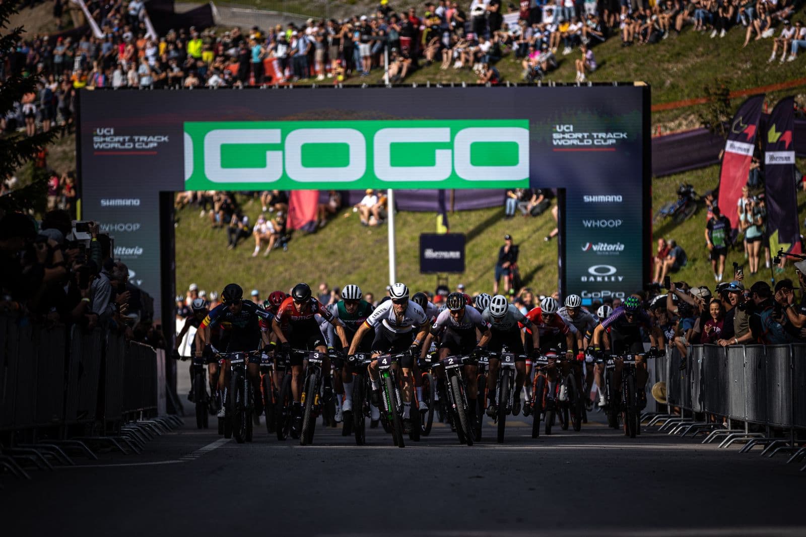 What is Cross-country Olympic